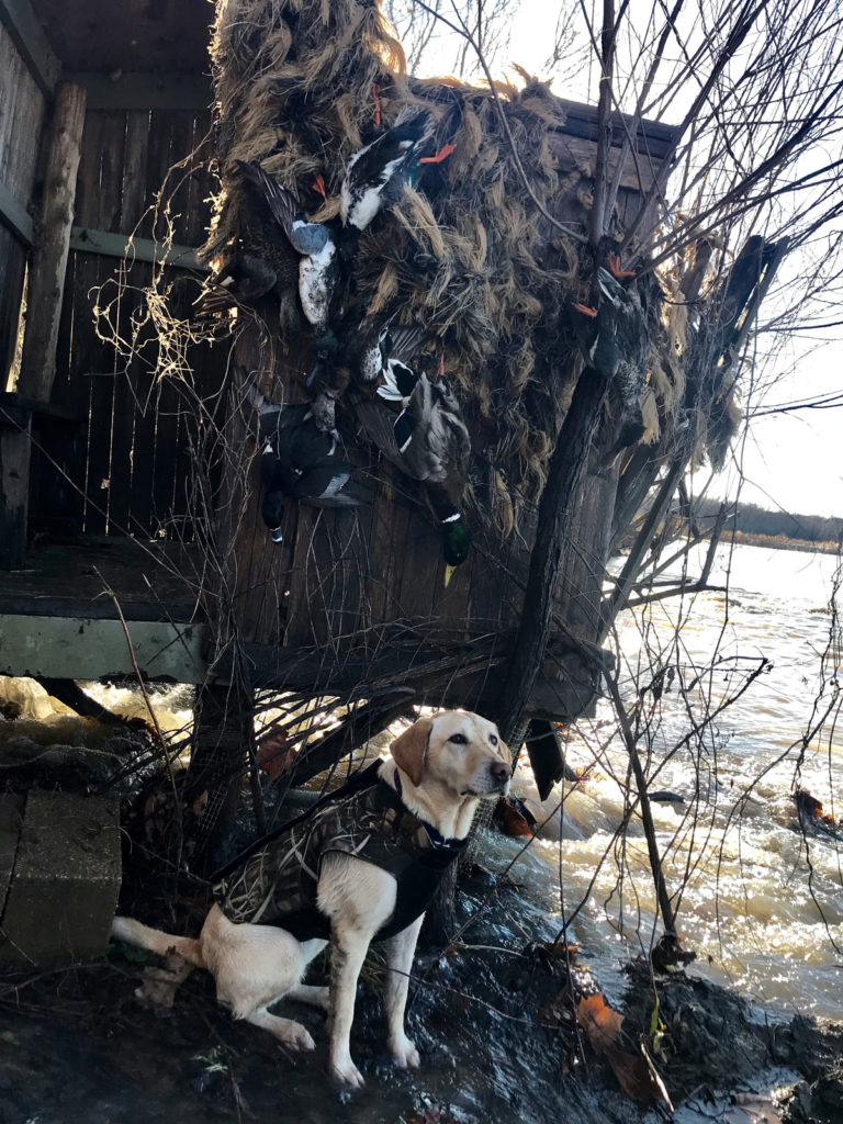 Photo Gallery - View Collection - Dallas Hunting and Fishing Club